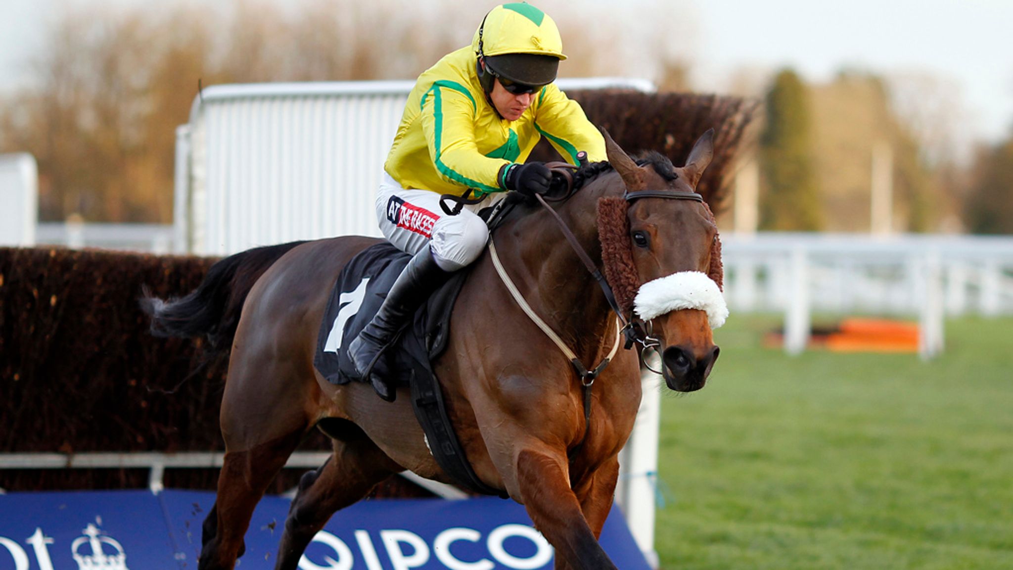 RSA Chase is Neil Mulholland's plan for The Young Master | Racing News ...