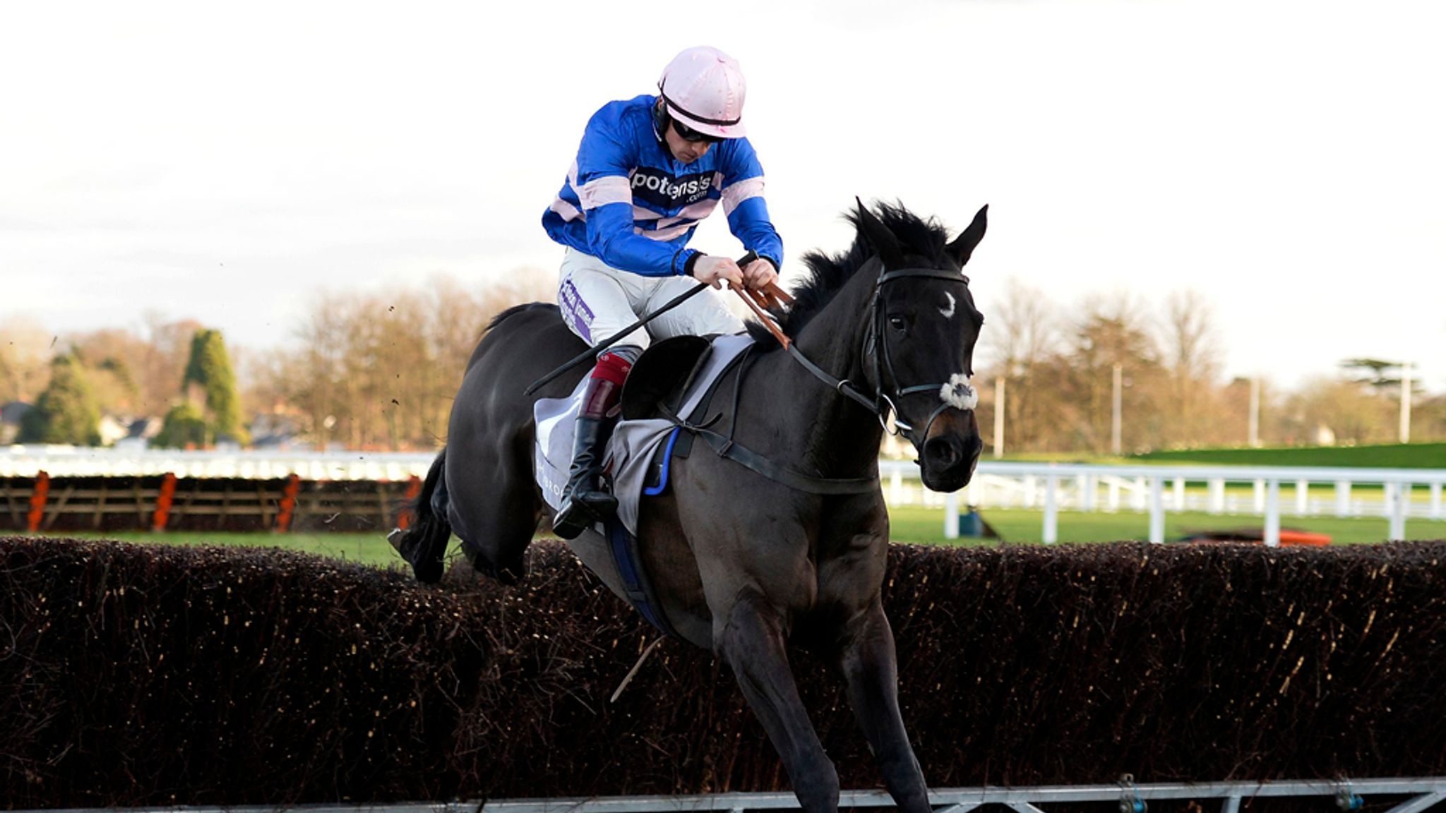 Ascot review: Bradstock bubbling over Flintham | Racing News | Sky Sports