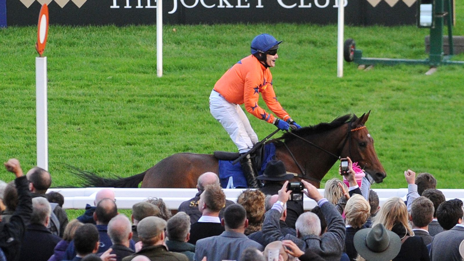 Moon Racer set for Weatherby Champion Bumper at Cheltenham | Racing ...