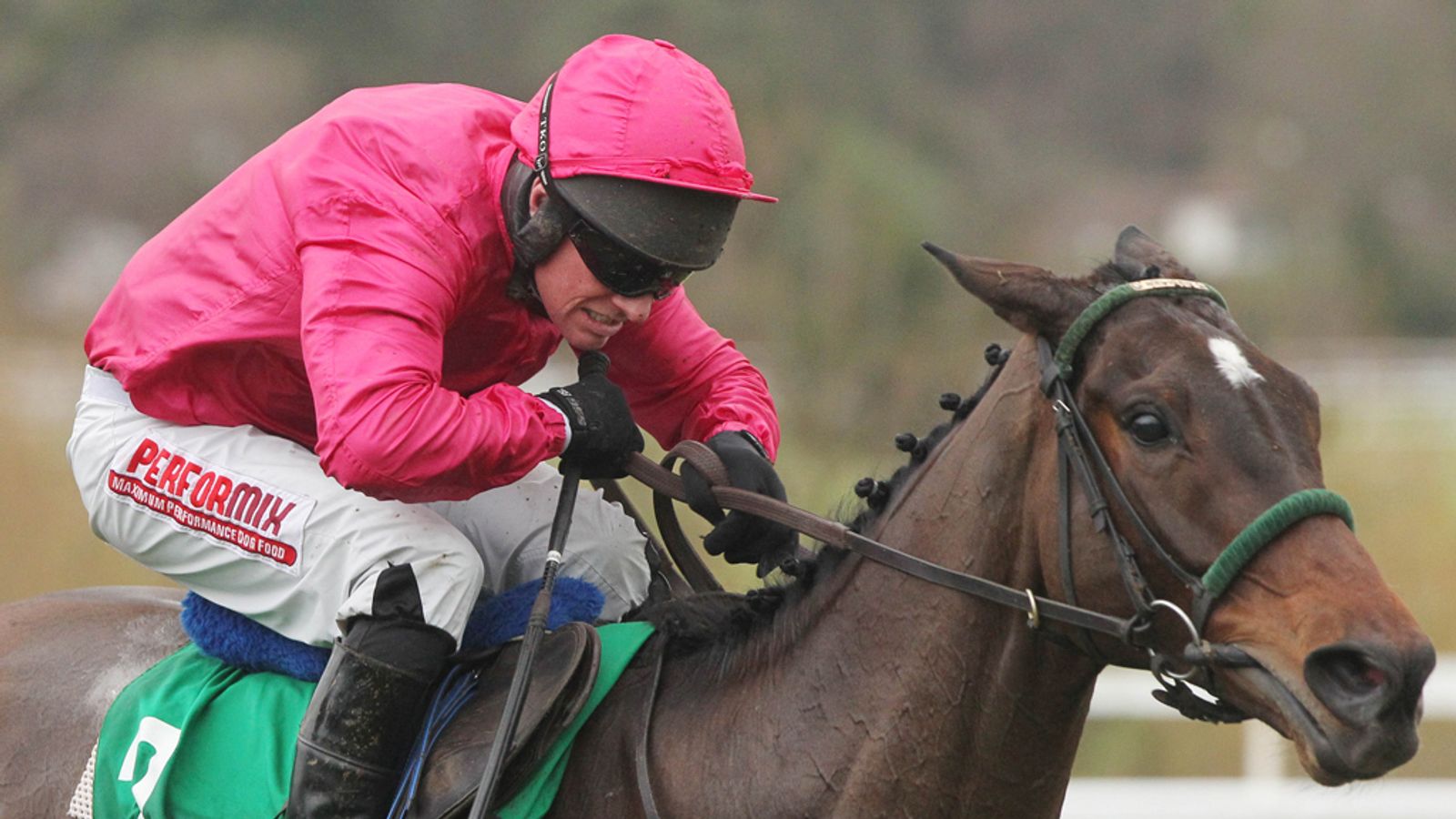 A review of the racing from Gowran Park where Monksland won on chase ...