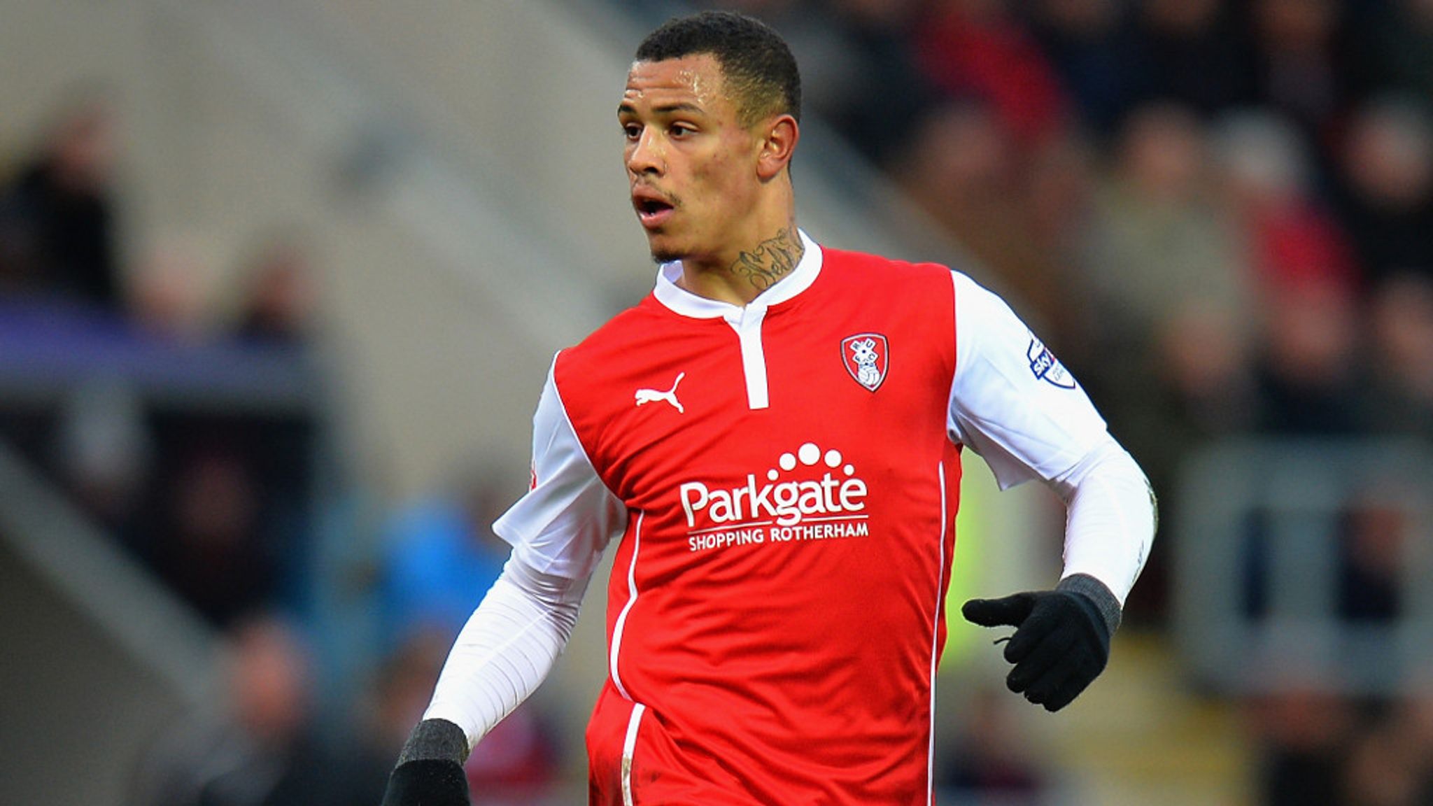 Rotherham striker Jonson Clarke-Harris faces nine months out | Football ...