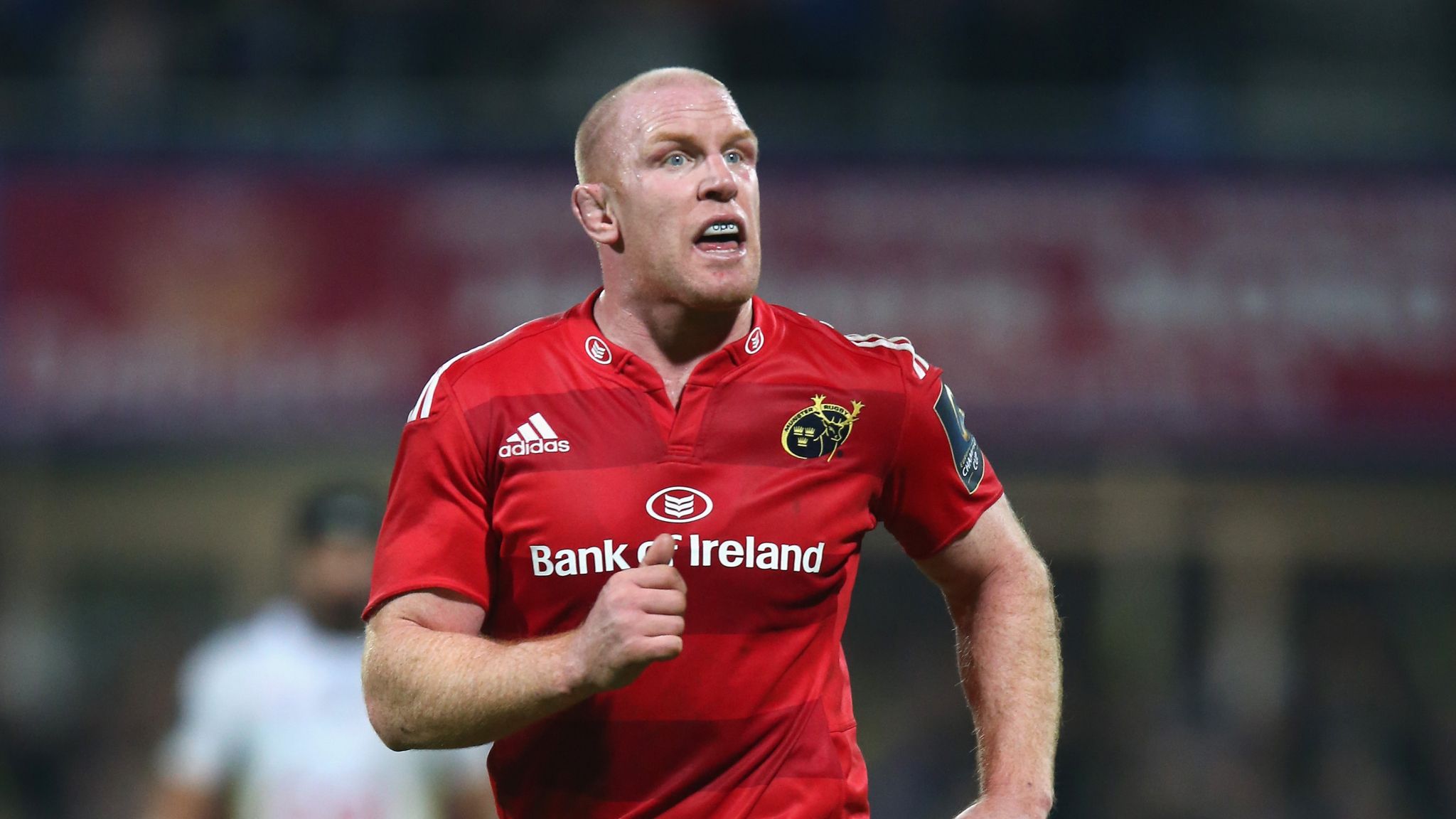 Paul O'Connell is ultimate Munster team player, says Alan Quinlan ...