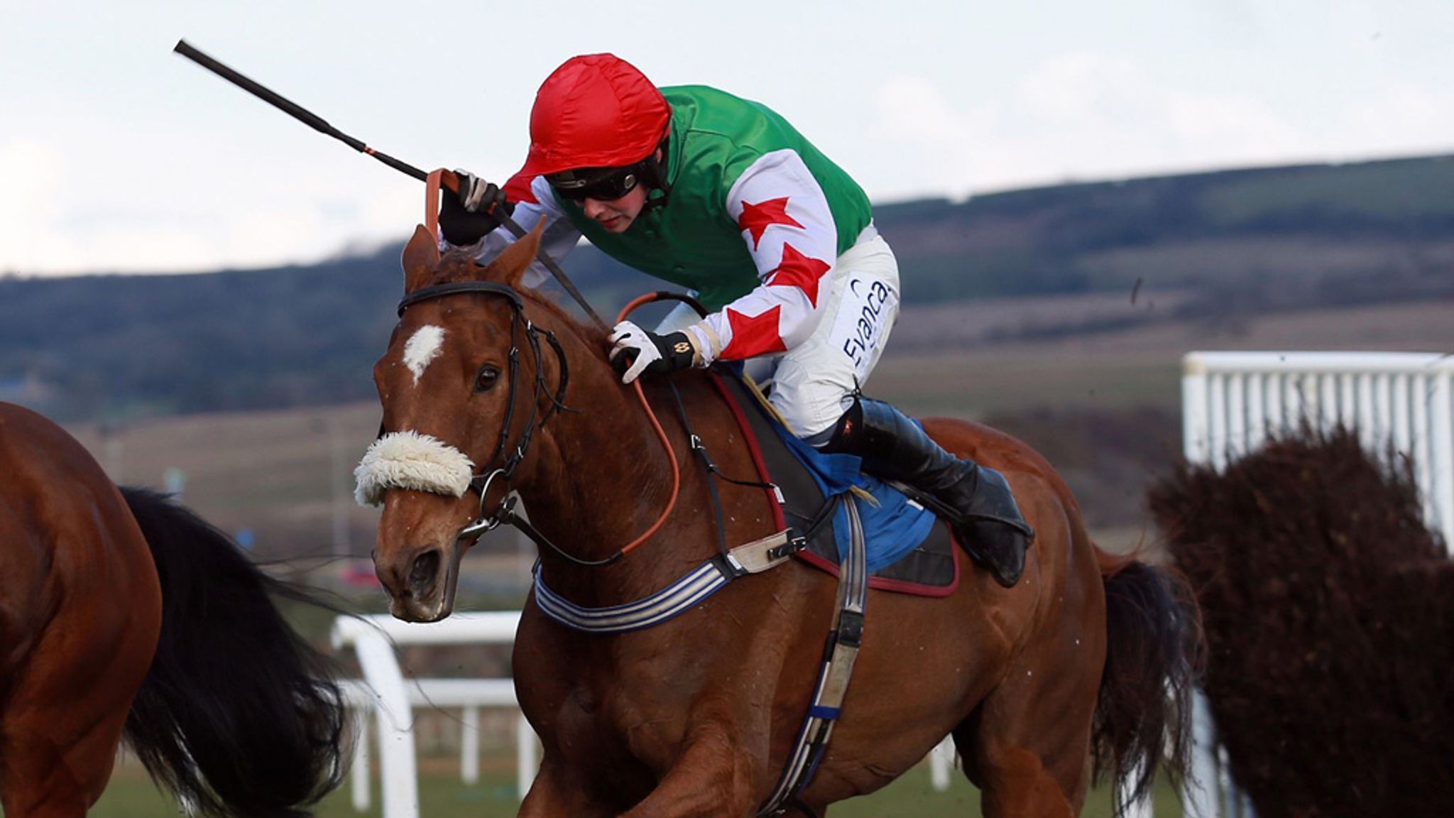 Victory Gunner is to race on as a 17-year-old | Racing News | Sky Sports