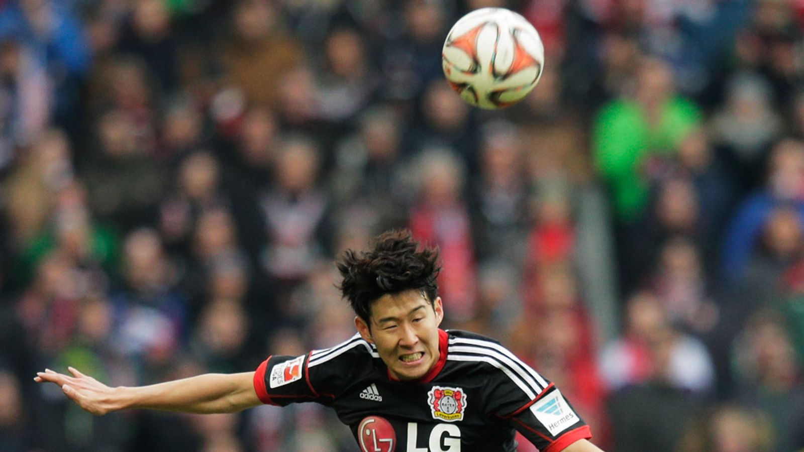 German Bundesliga report: Mainz keeper Hitz the hero | Football News ...