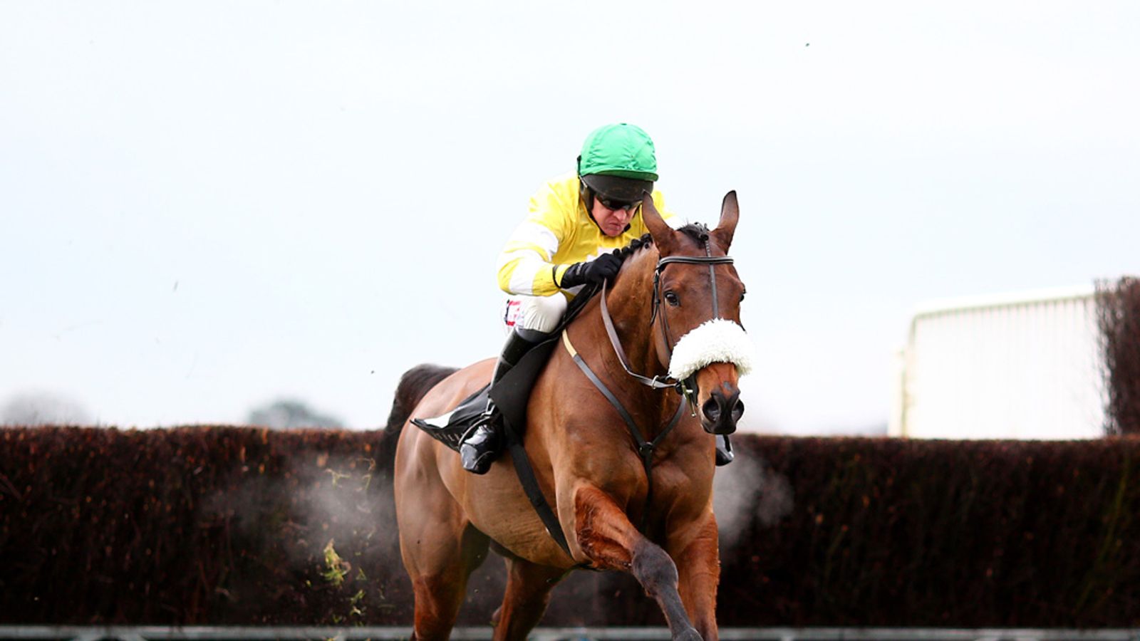 Neil Mulholland is weighing up the options for Carole's Destrier ...