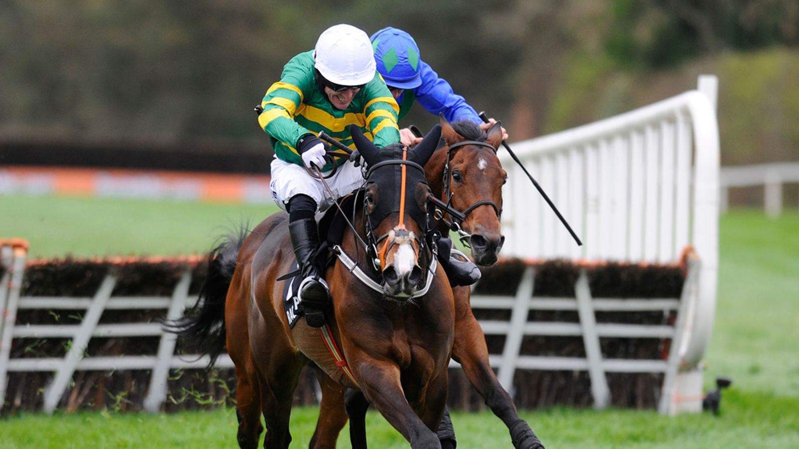 Jessica Harrington expects Jezki progress | Racing News | Sky Sports