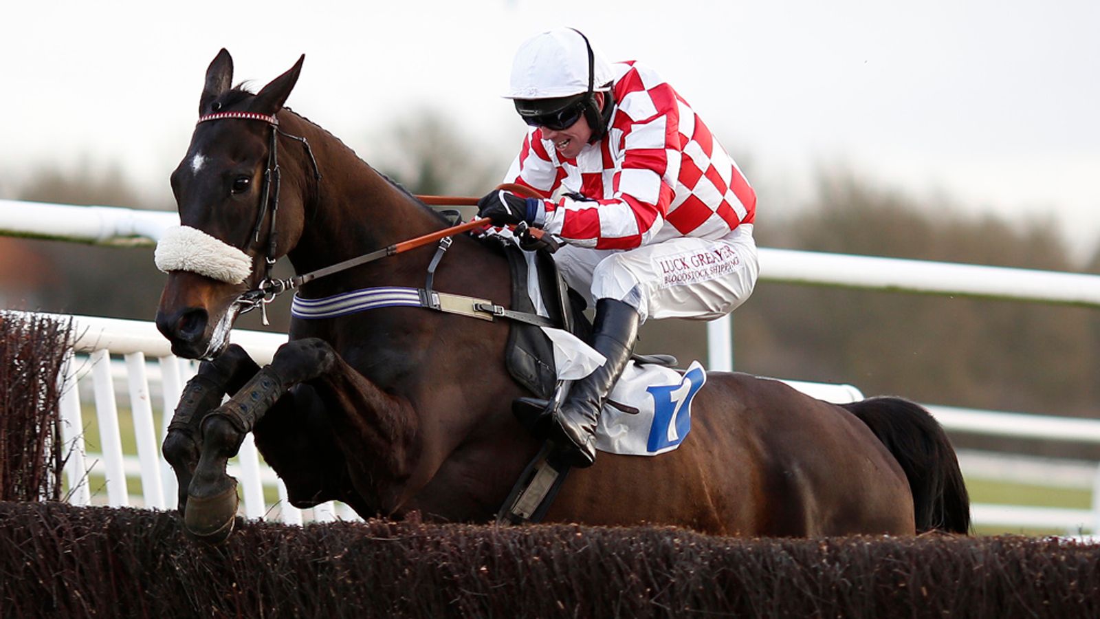 Puffin Billy meets with new setback | Racing News | Sky Sports