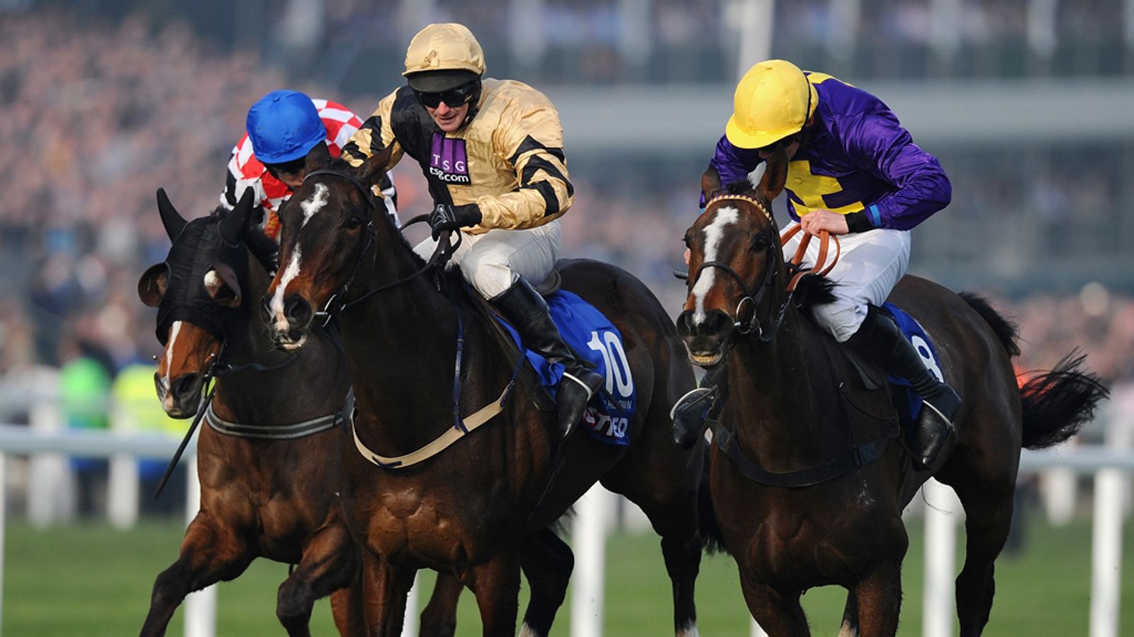 Graham Wylie lines up Cheltenham team | Racing News | Sky Sports