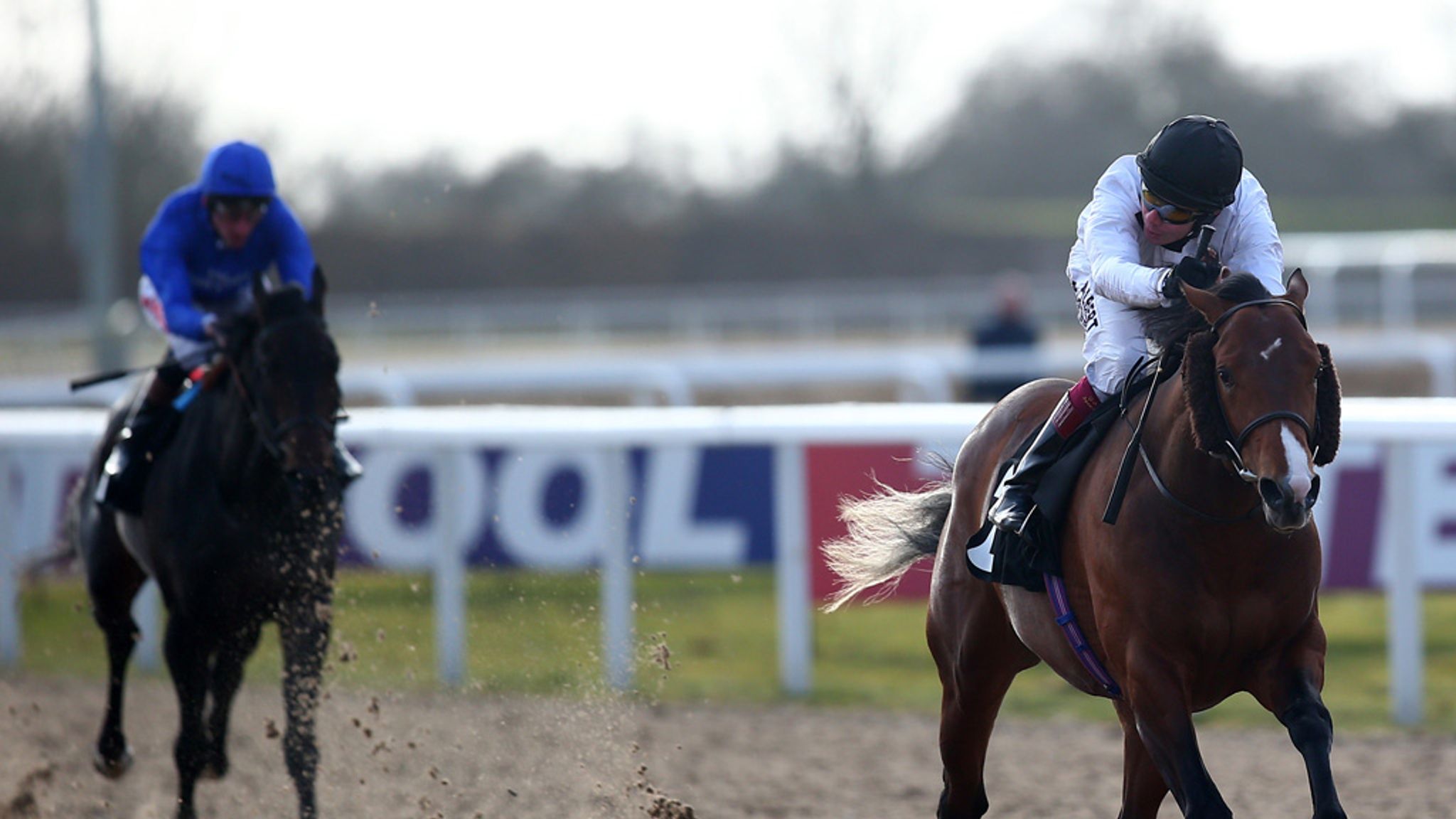 A review of the racing from Chelmsford City | Racing News | Sky Sports