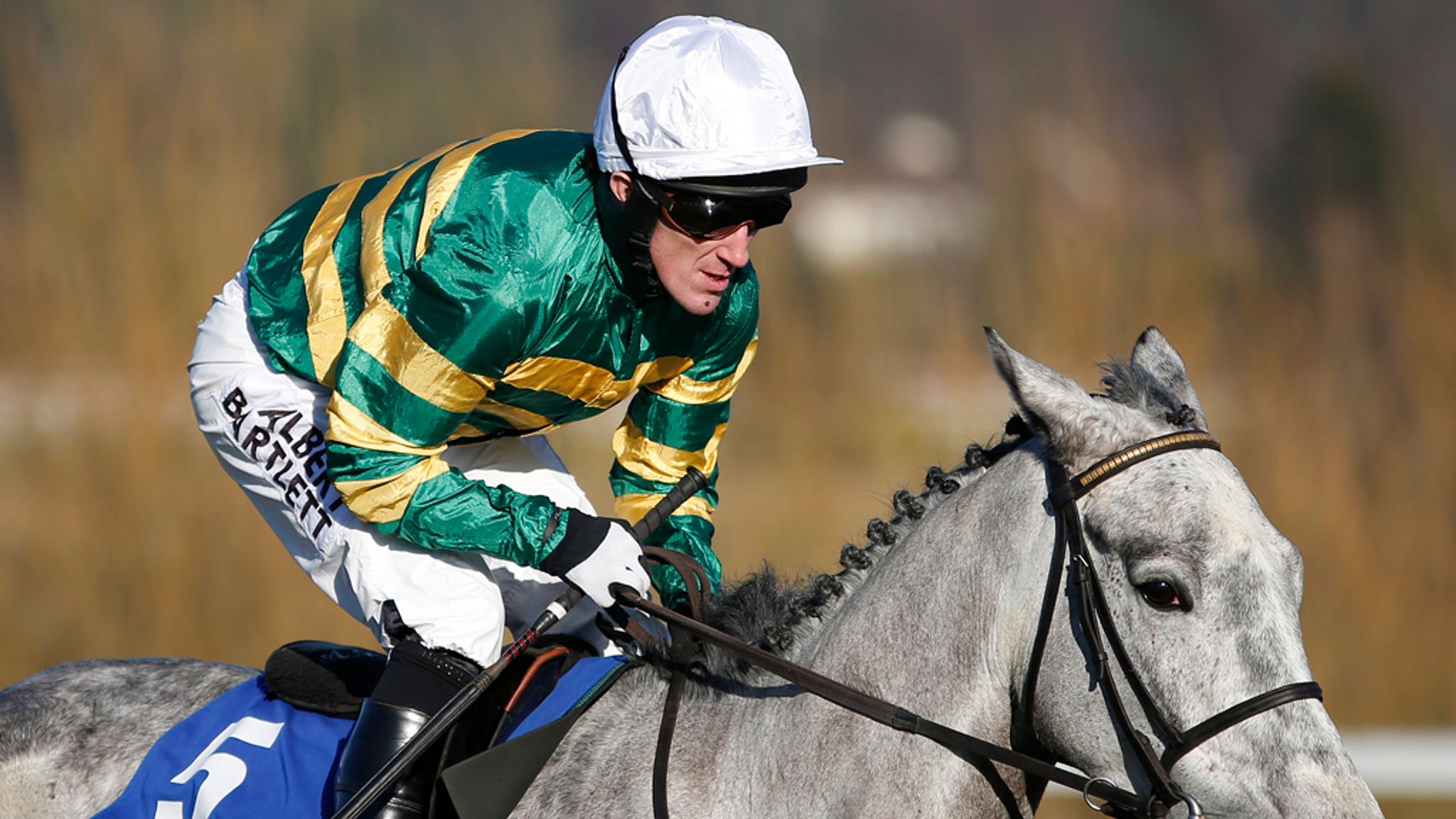 Alvisio Ville suffers fatal injury at Fairyhouse | Racing News | Sky Sports