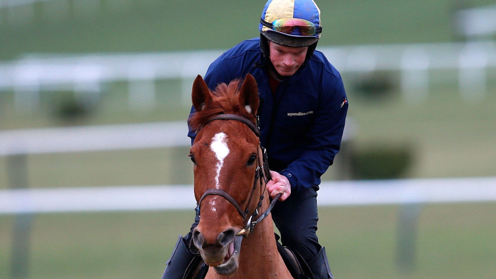 No issues for Mullins' heroes | Racing News | Sky Sports