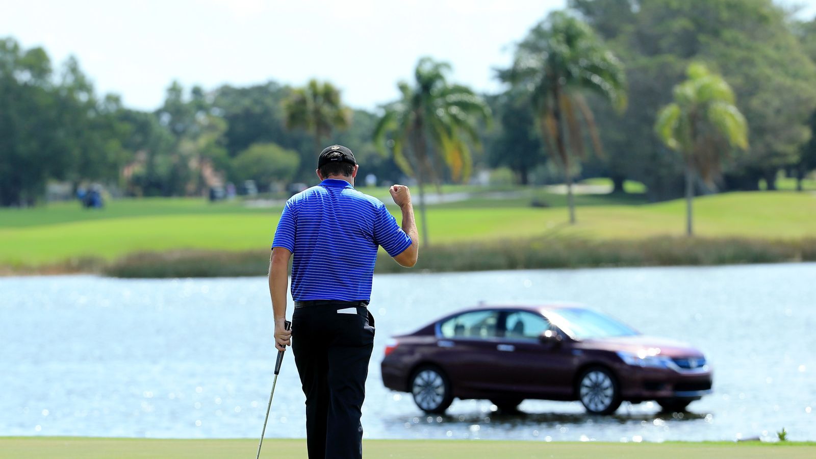 Padraig Harrington | Golf News | Sky Sports