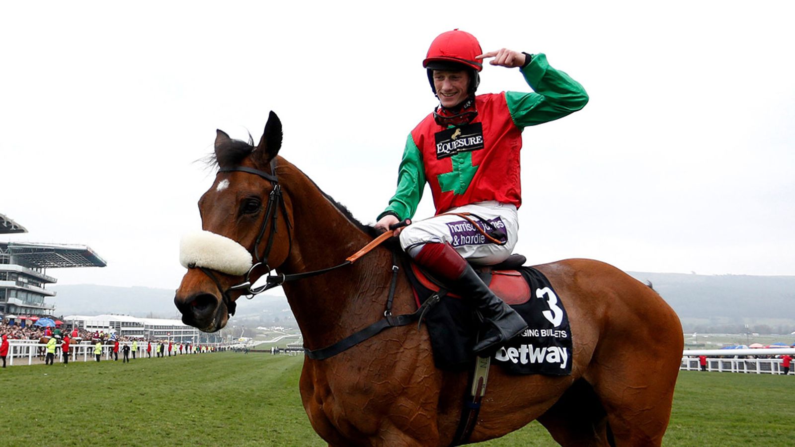 Paul Nicholls: Dodging Bullets can win Champion Chase at Cheltenham ...