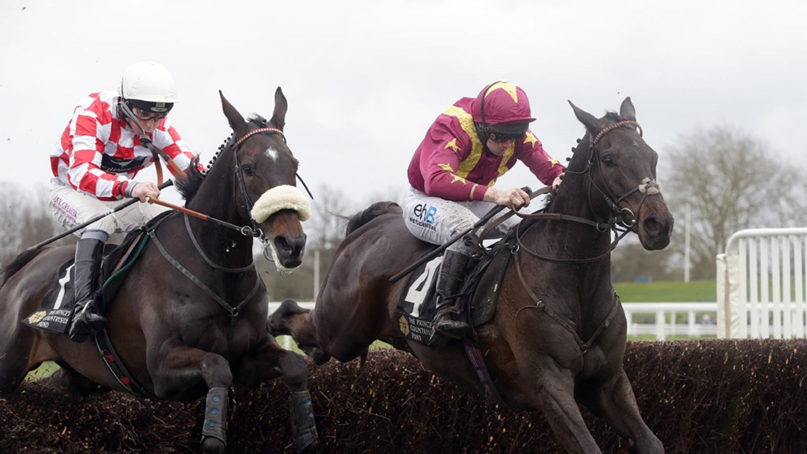 Market Rasen winner Cloonacool aimed at Ascot | Racing News | Sky Sports