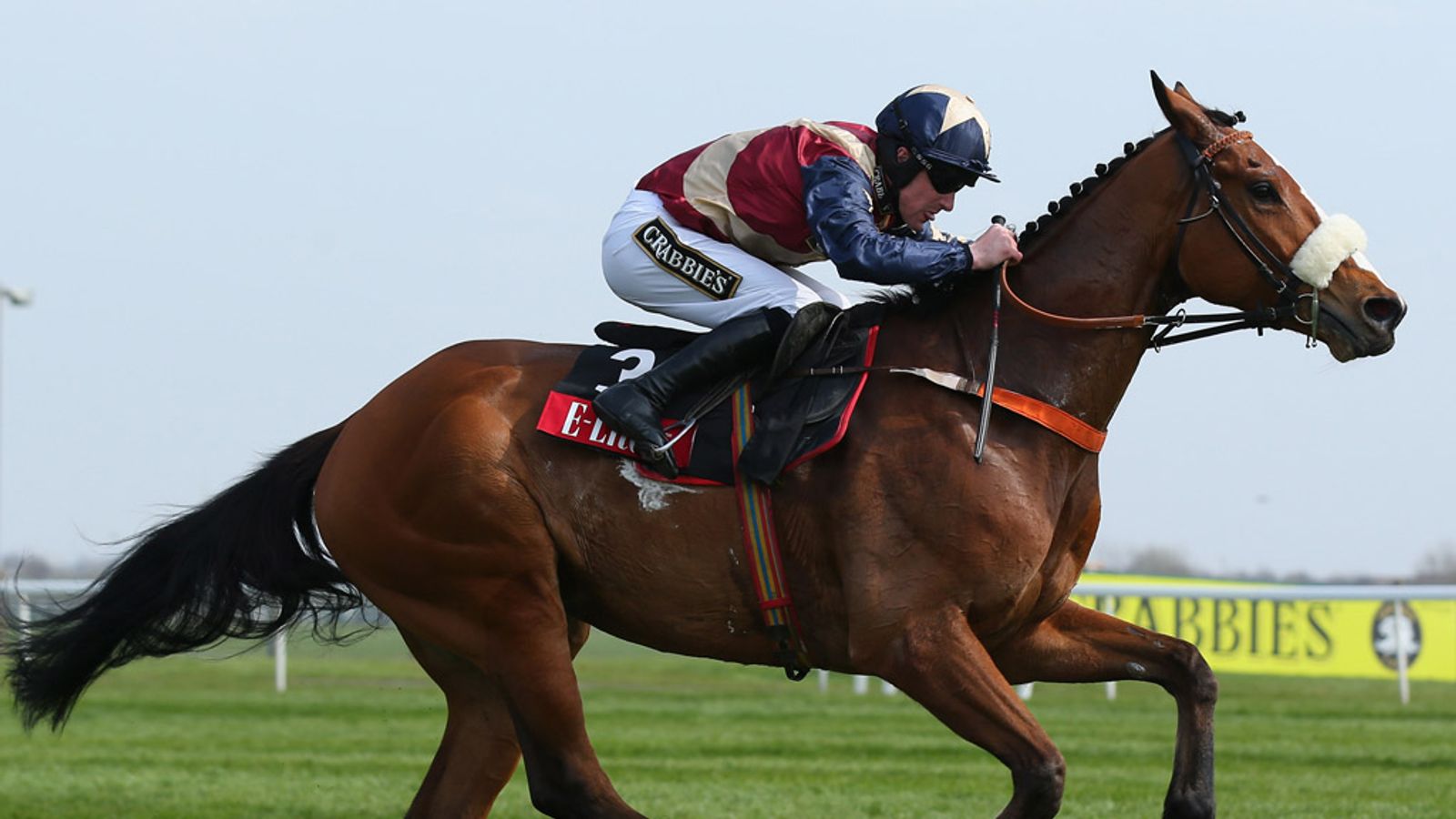 Malcolm Jefferson: Cyrus Darius at Market Rasen, Oscar Rock in Paddy ...