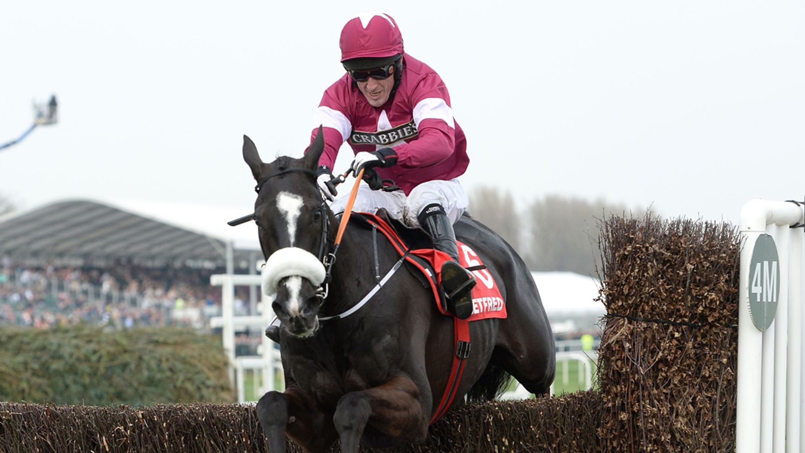 Road To Riches and Don Cossack go for Gold at Punchestown | Racing News ...