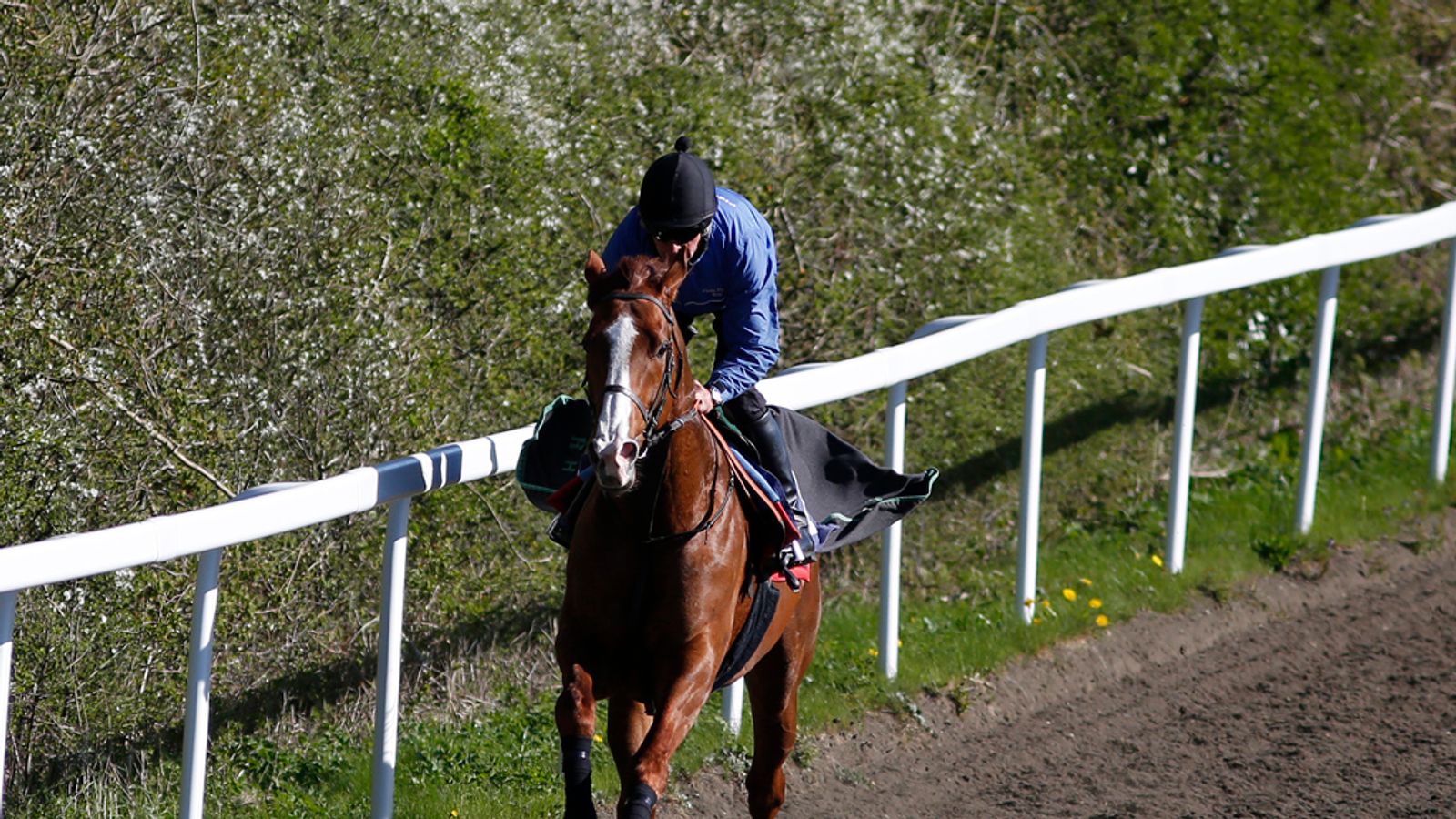 Richard Hannon has three options for Lockinge Stakes | Racing News ...