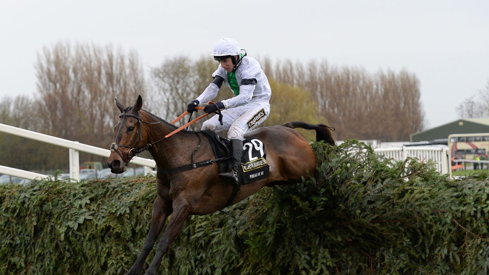 Dr Richard Newland sweet on Pineau De Re in Crabbie's Grand National ...