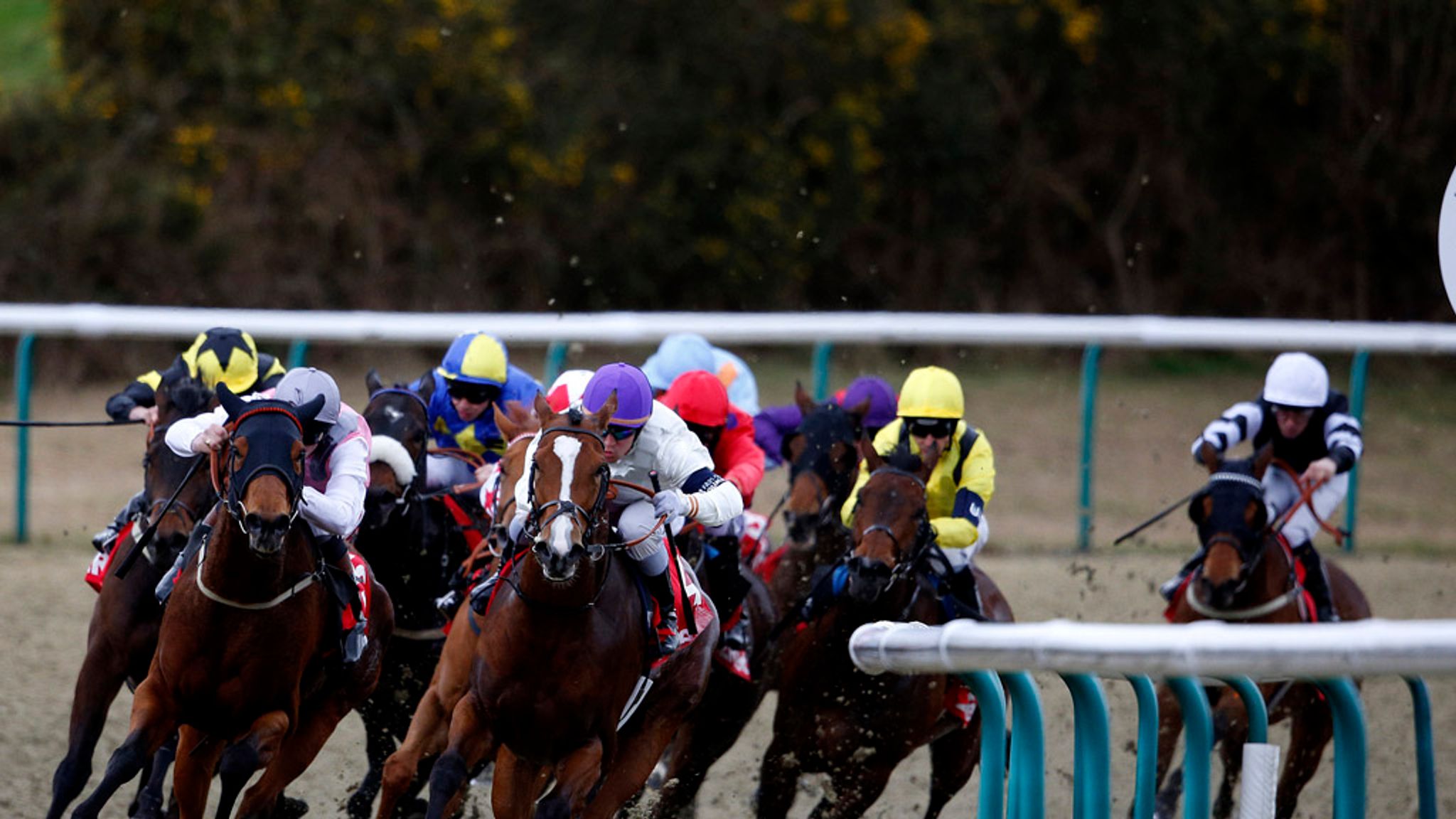 All-Weather Championships heavyweights set to clash at Lingfield Park ...