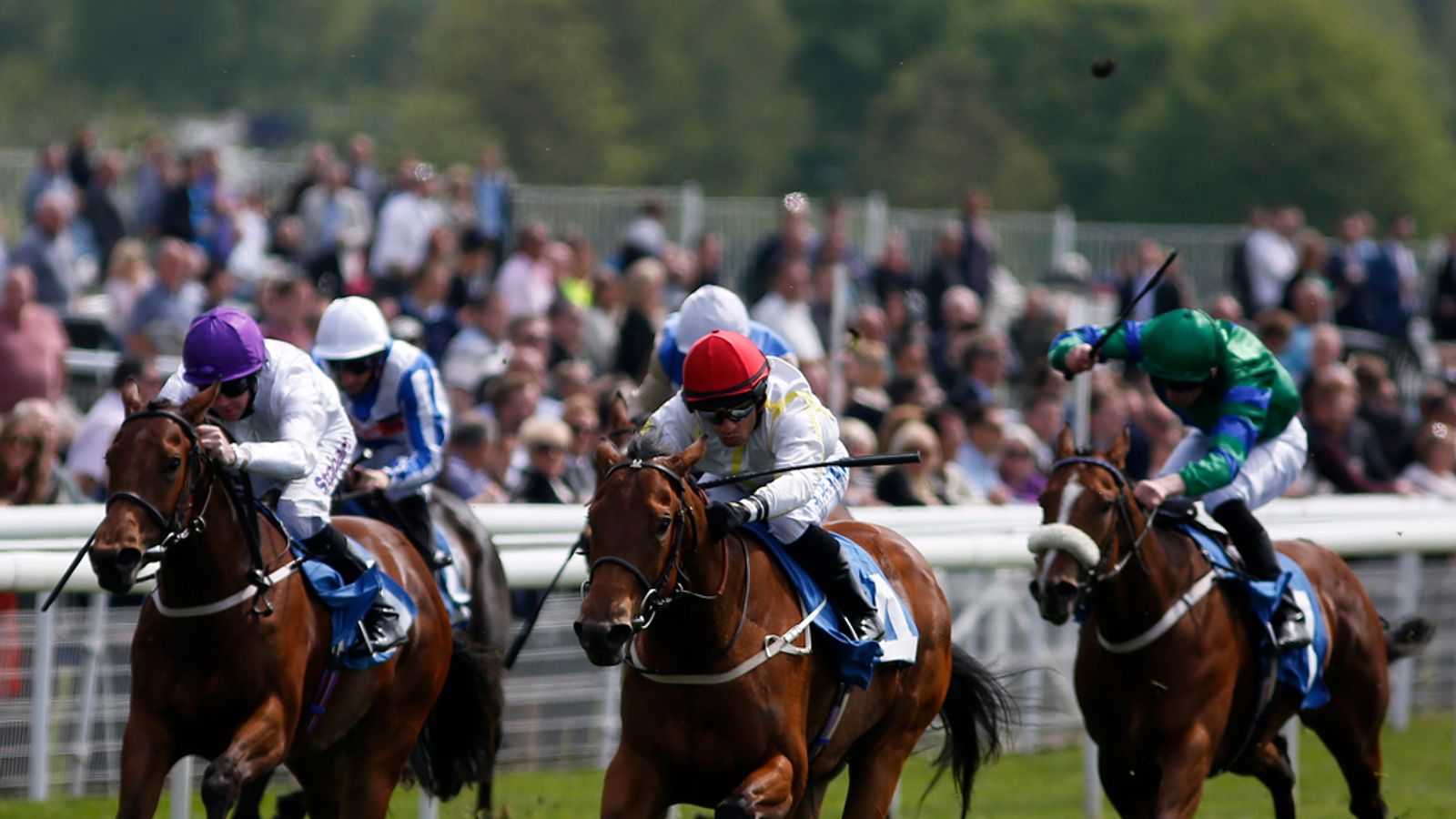 Tony Coyle expects big things from New Road Side in the Hilary Needler ...