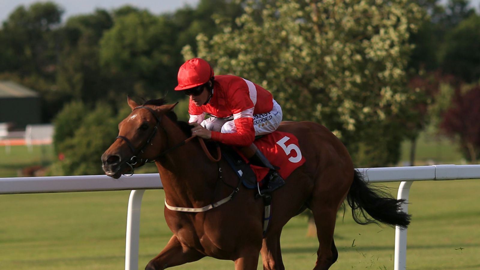 Alex Hammond previews the big races on Thursday's Royal Ascot card ...
