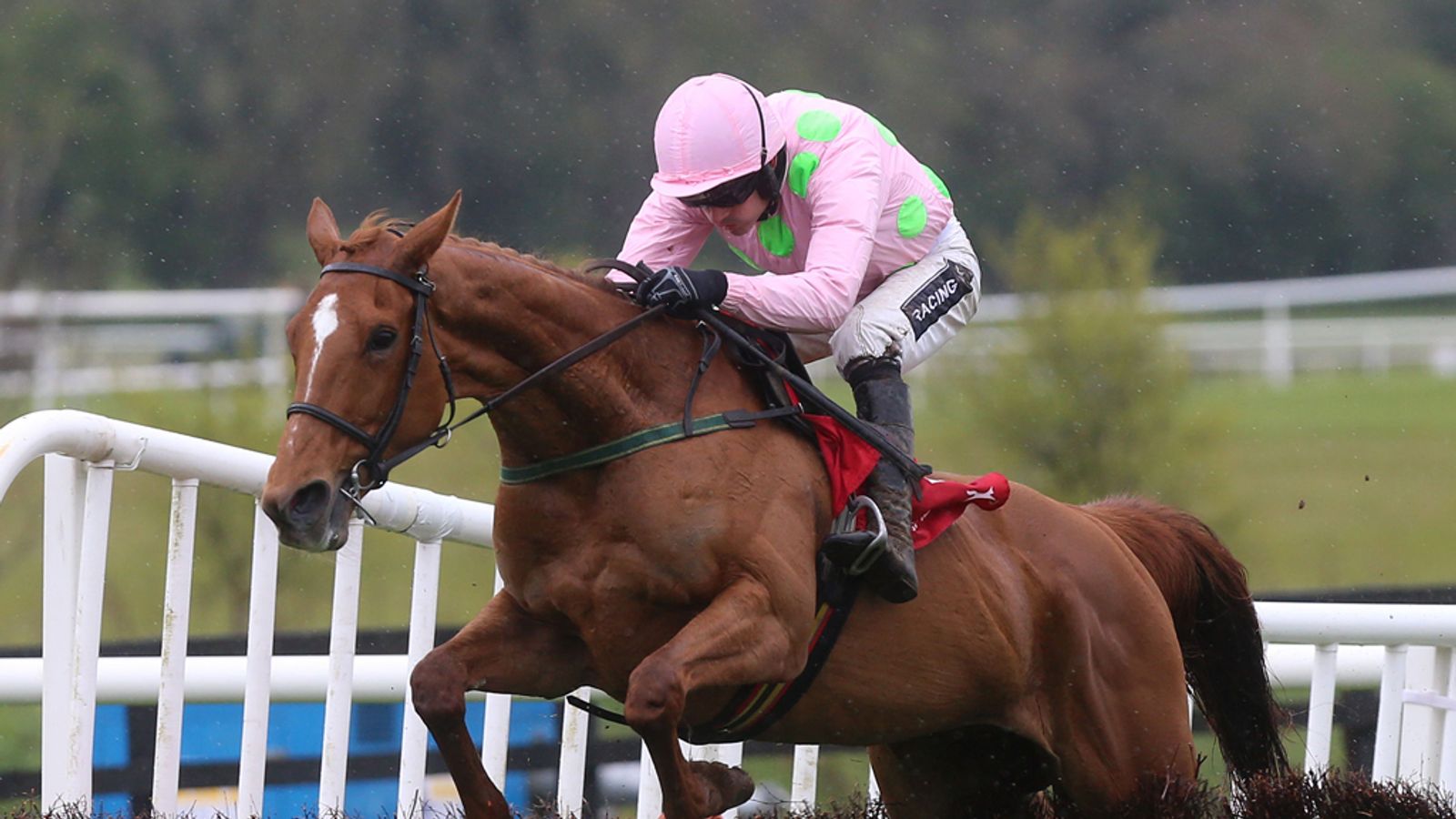 Annie Power unlikely to run before Cheltenham Festival | Racing News ...