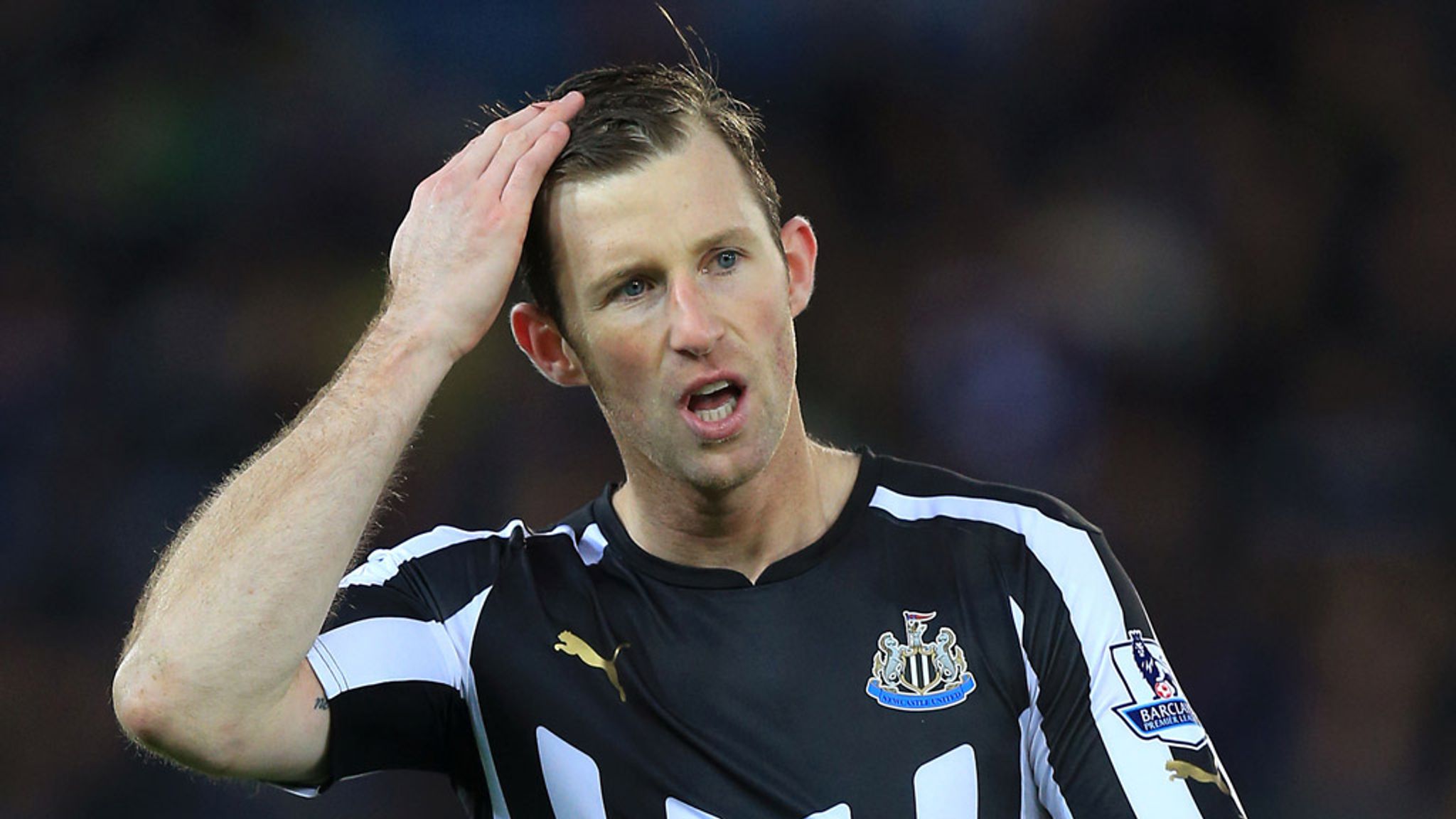Newcastle's Mike Williamson set to join Wolves on loan | Football News ...