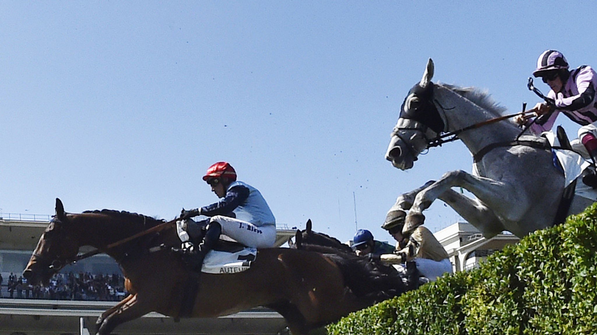 Milord Thomas wins Grand Steeple-Chase de Paris at Auteuil | Racing ...