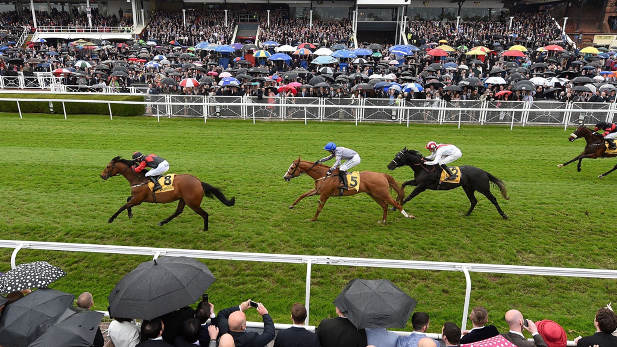 Horse racing review: Friday's action at Chester | Racing News | Sky Sports