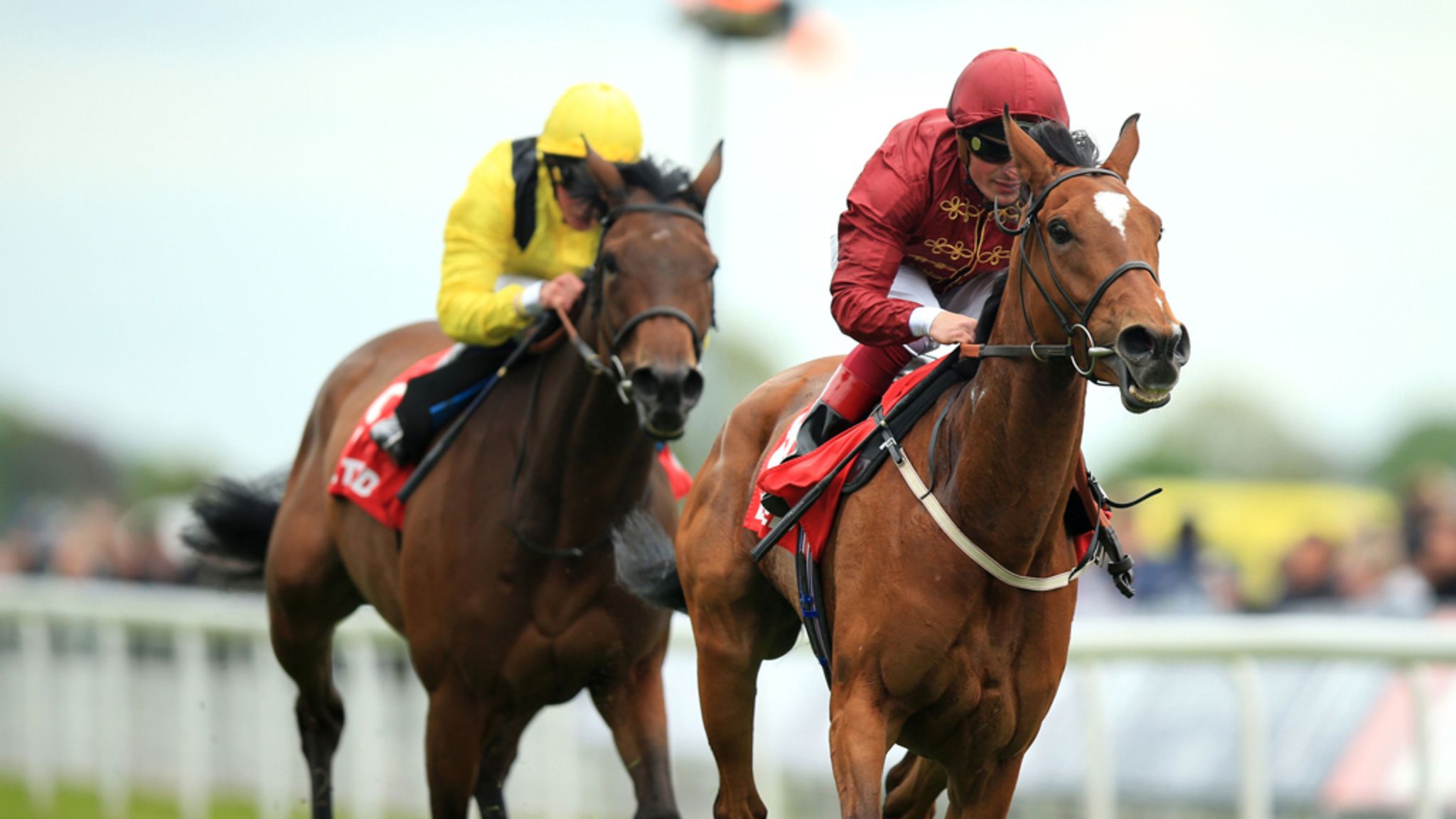 Ralph Beckett delighted with Secret Gesture ahead of Breeders' Cup ...