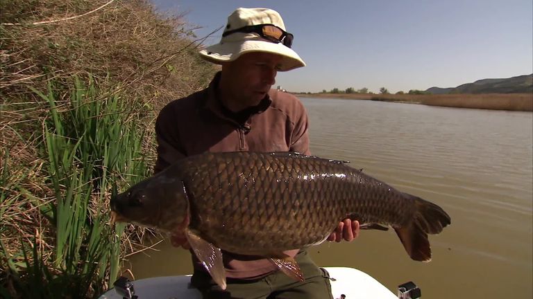 Dean Macey goes carp fishing in Spain | Video | Watch TV Show | Sky Sports