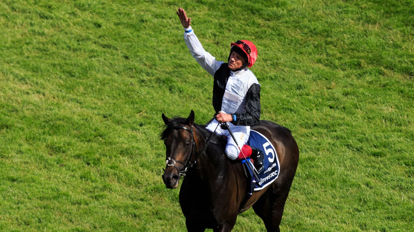Golden Horn may run in Coral-Eclipse and King George | Racing News ...