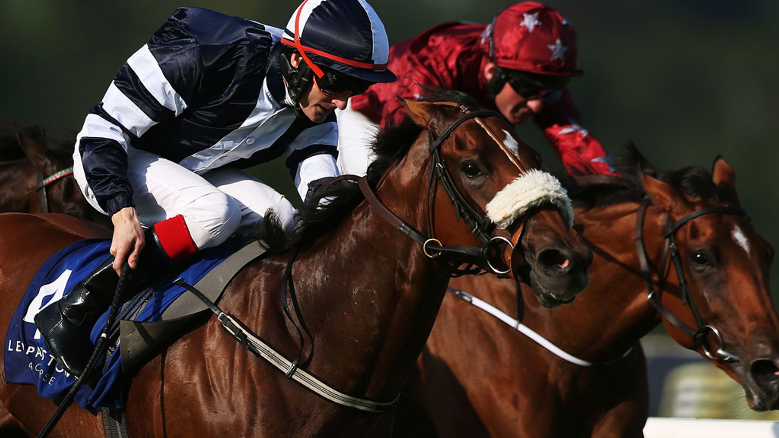 Harrington still has faith in Jack Naylor | Racing News | Sky Sports