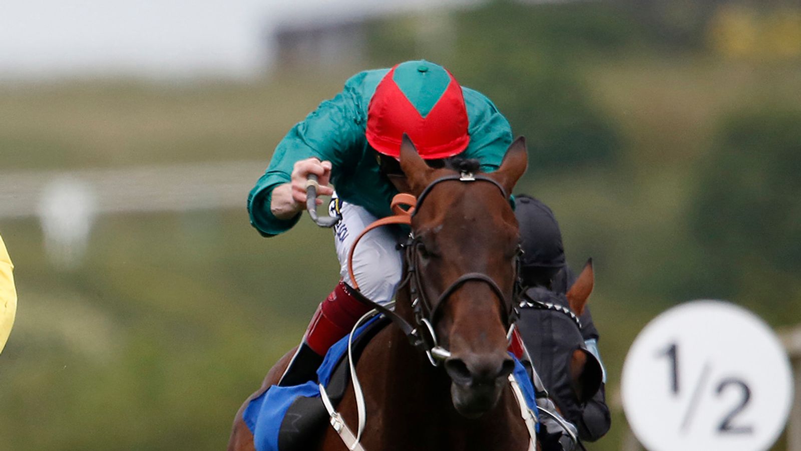 Tempuran lands Brighton shock | Racing News | Sky Sports