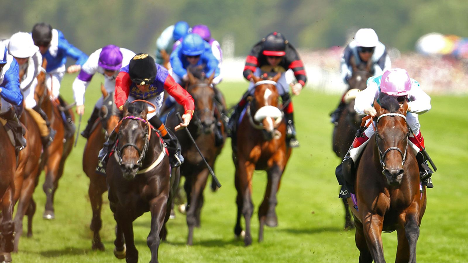 Royal Ascot winner Time Test to skip Prix Jean Prat | Racing News | Sky ...