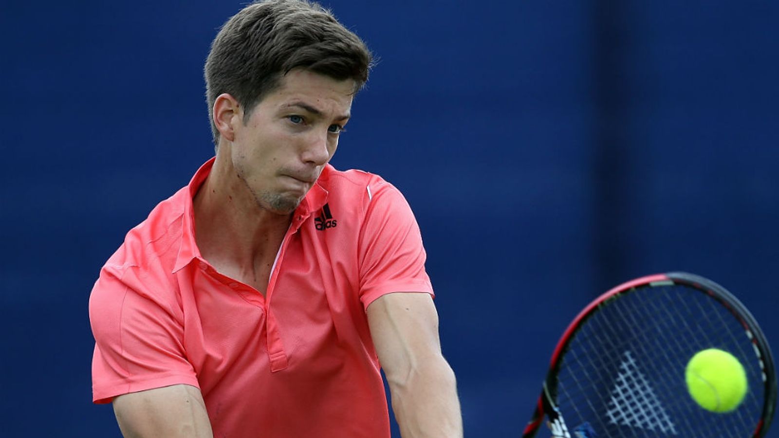 Aljaz Bedene, Tommy Robredo, Fabio Fognini plus more play at the ...