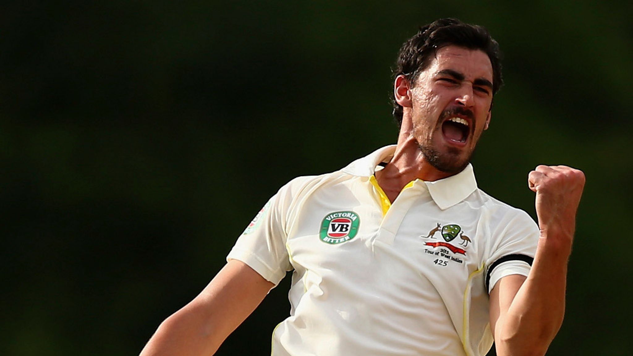 Steve Harmison feels Mitchell Johnson's aggression gives him the Ashes ...