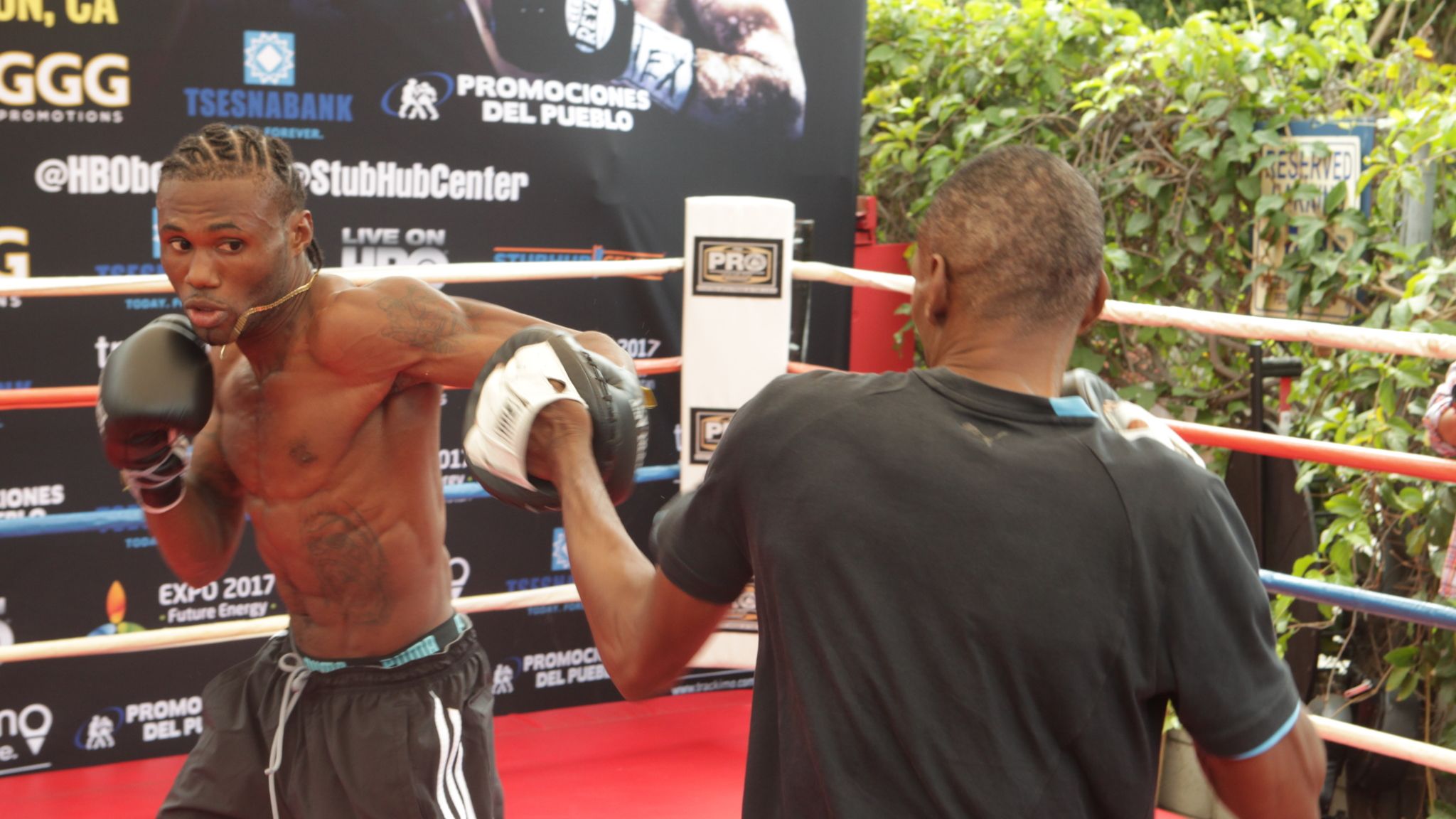 World featherweight champion Nicholas Walters doesn't recall defeat to ...