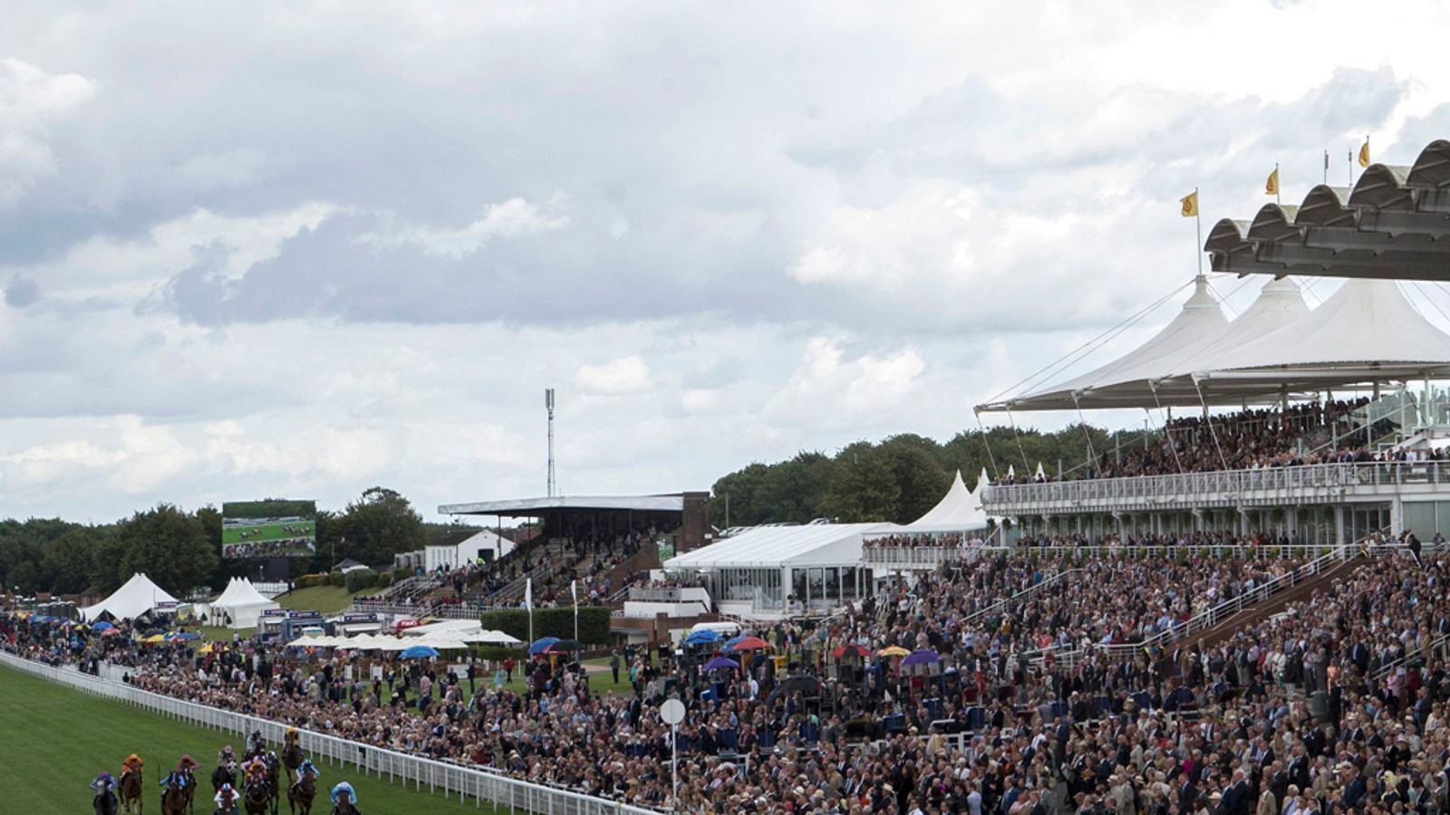 Eric Alston has high hopes for Ridge Ranger in Beverley Bullet | Racing ...