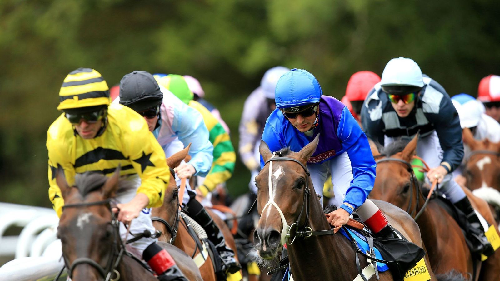 Rod Millman gives Taws a thought for Cesarewitch | Racing News | Sky Sports