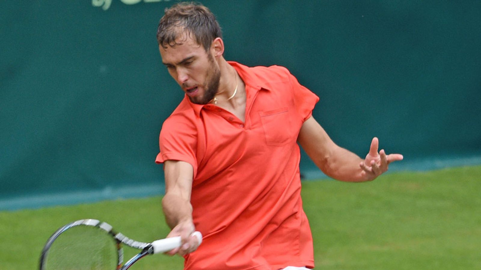 Jerzy Janowicz and Albert Ramos-Vinolas won at the Hamburg Open ...