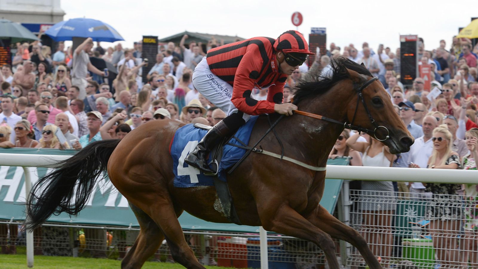 Arod wins Fred Cowley MBE Memorial Summer Mile Stakes at Ascot | Racing ...