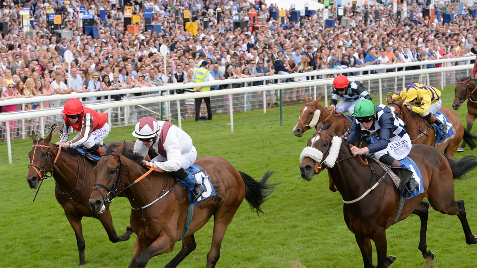 Sir Mark Prescott's Cesrewitch bid | Racing News | Sky Sports