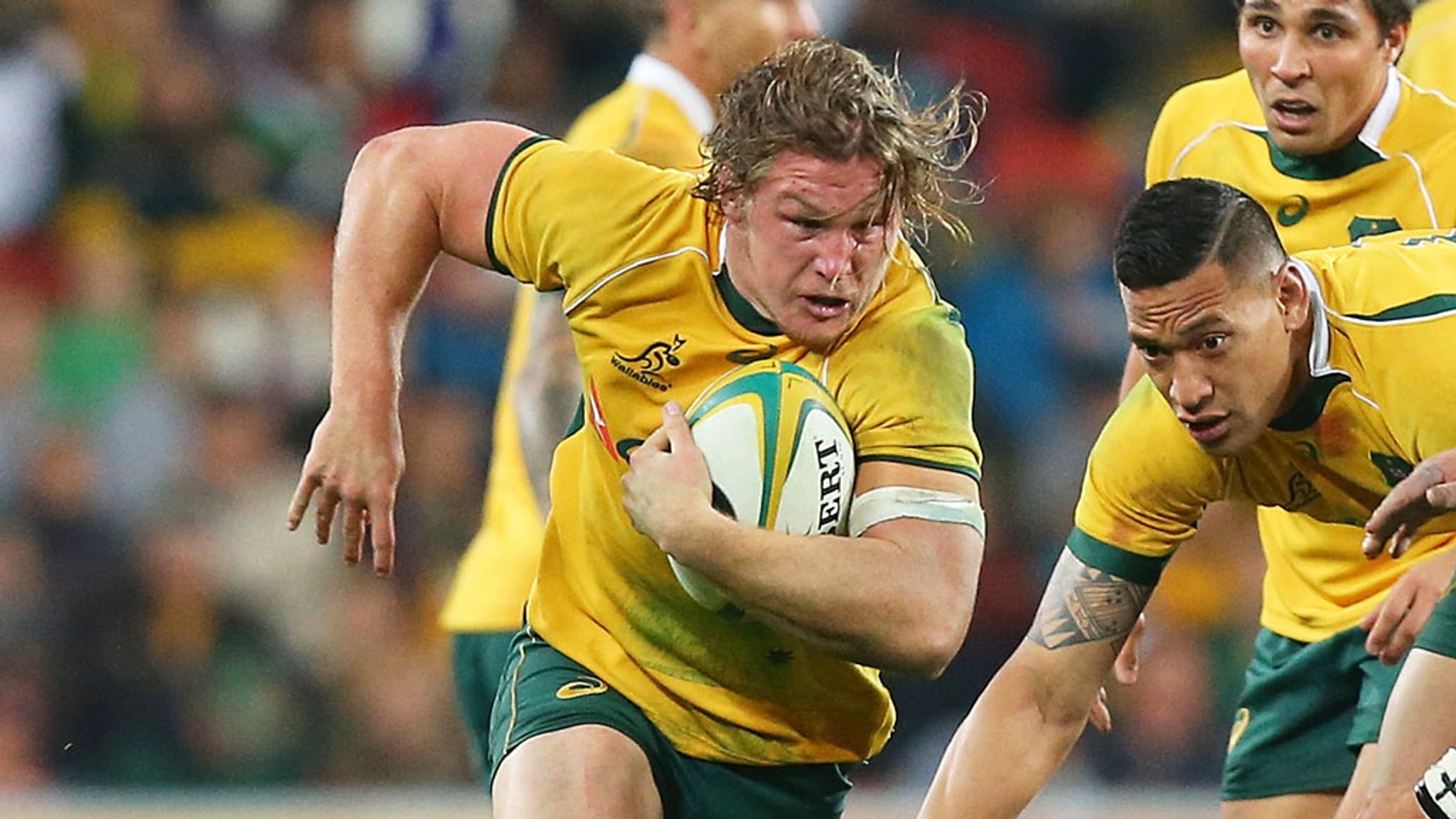 Australia coach: Michael Hooper and David Pocock too good to leave out ...