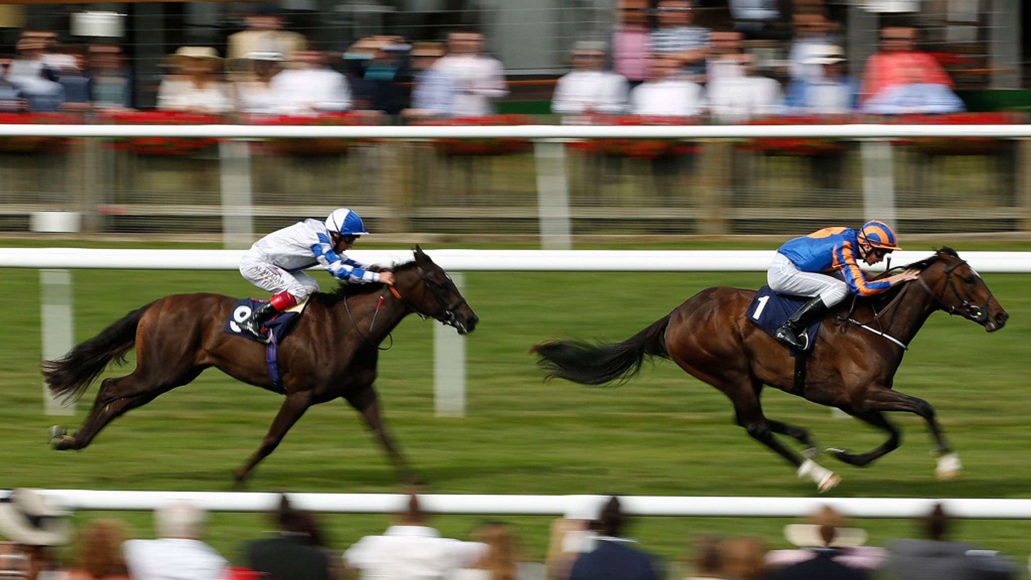 Arod wins Fred Cowley MBE Memorial Summer Mile Stakes at Ascot | Racing ...