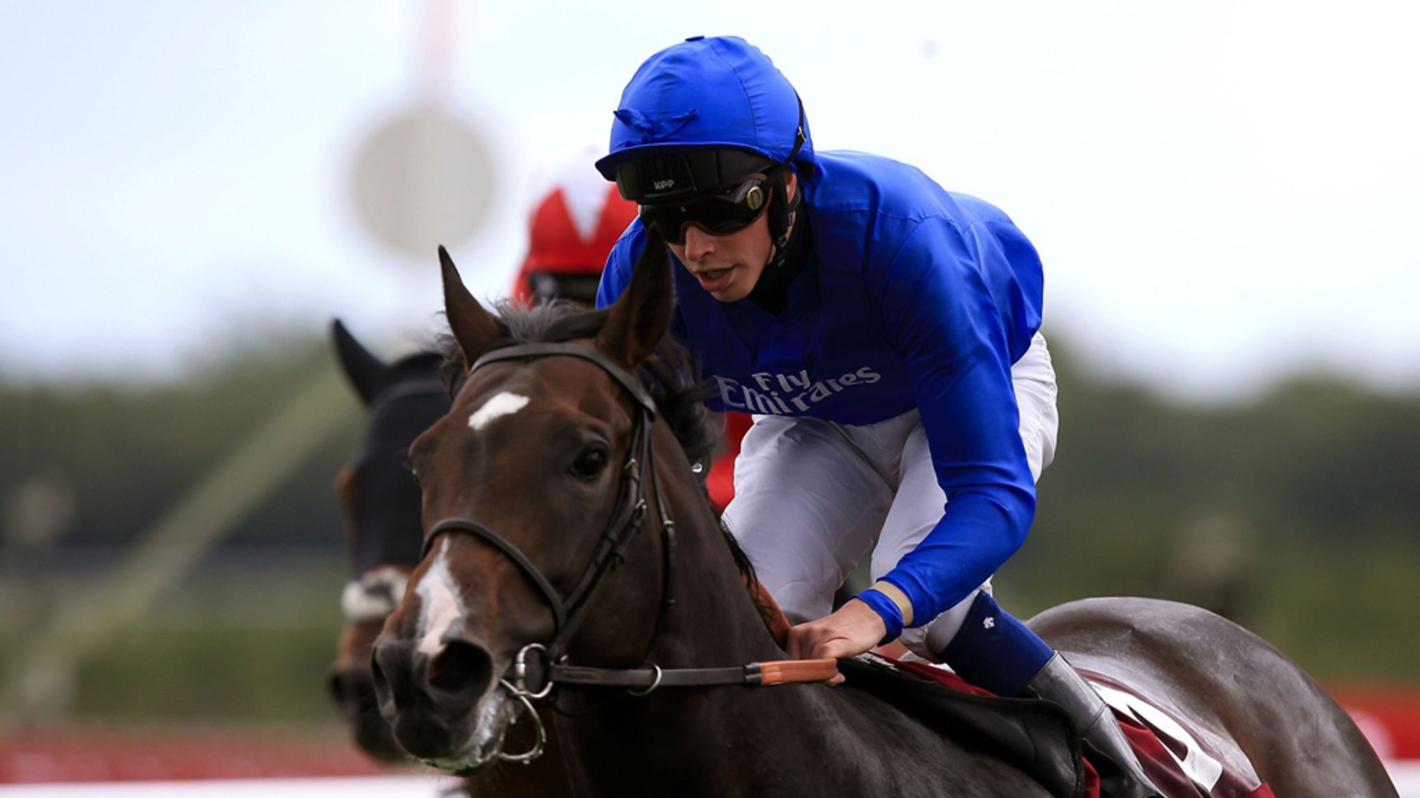 Toormore primed for Hong Kong Mile on December 13 | Racing News | Sky ...