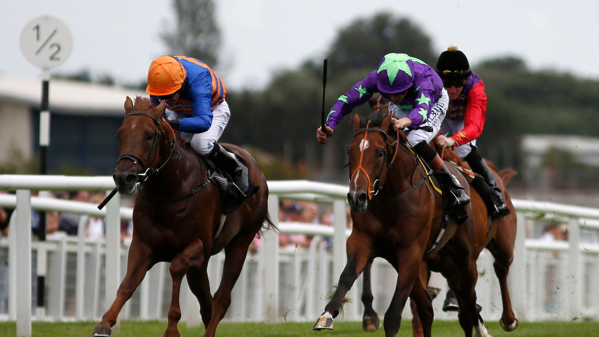 Zebediah on target at Newbury | Racing News | Sky Sports