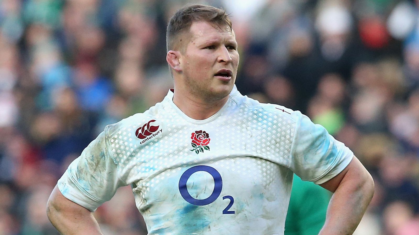 Dylan Hartley favourite to take England captaincy from Chris Robshaw ...