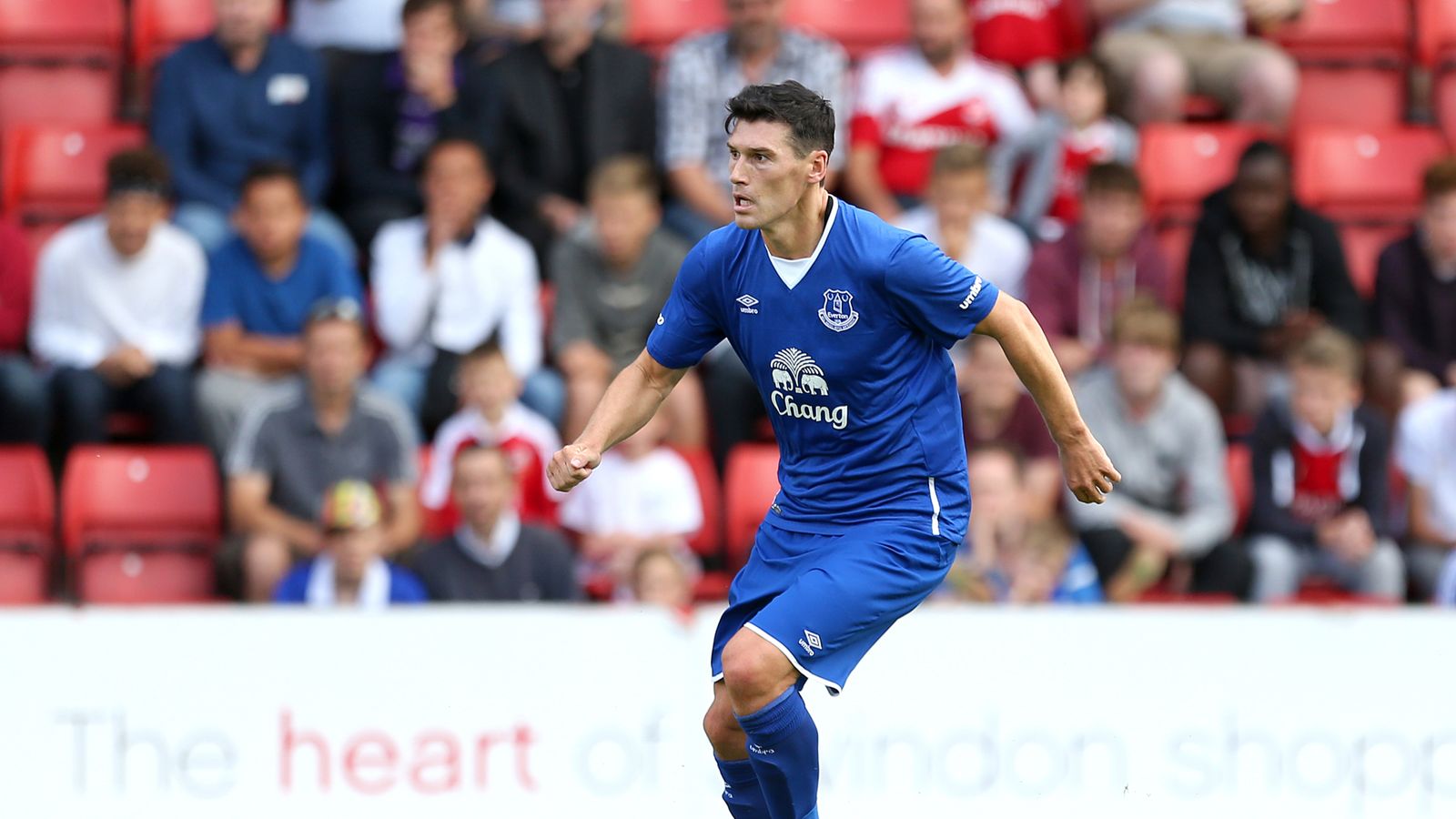 Roberto Martinez: Everton's Gareth Barry is one of the greatest ...