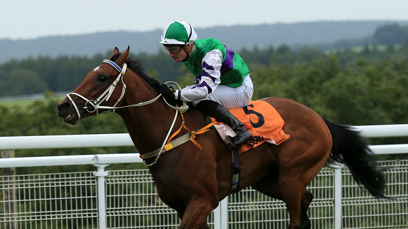 Jane Chapple-Hyam to run The Twisler in the Prix Denisy | Racing News ...